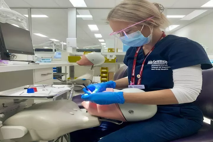 Griffith University, Brisbane: Admission, Courses, Fees, Ranking, Scholarship, Eligibility